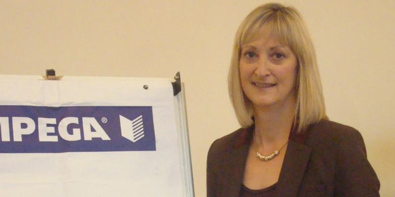 Business and Employment Support and Training - Shirley David